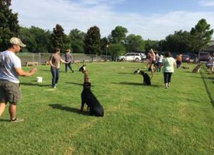 About | K9 University