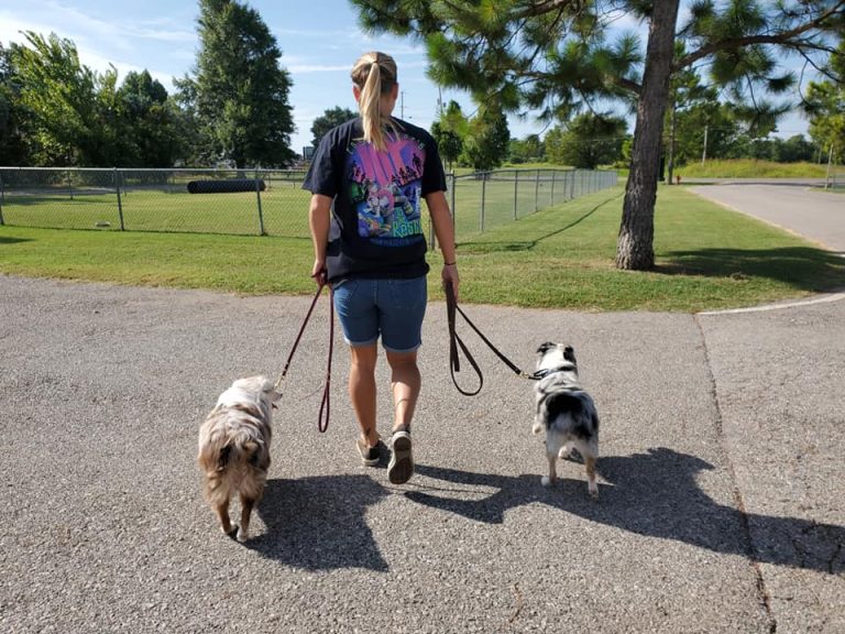 Puppy Training in Oklahoma City | K9 University