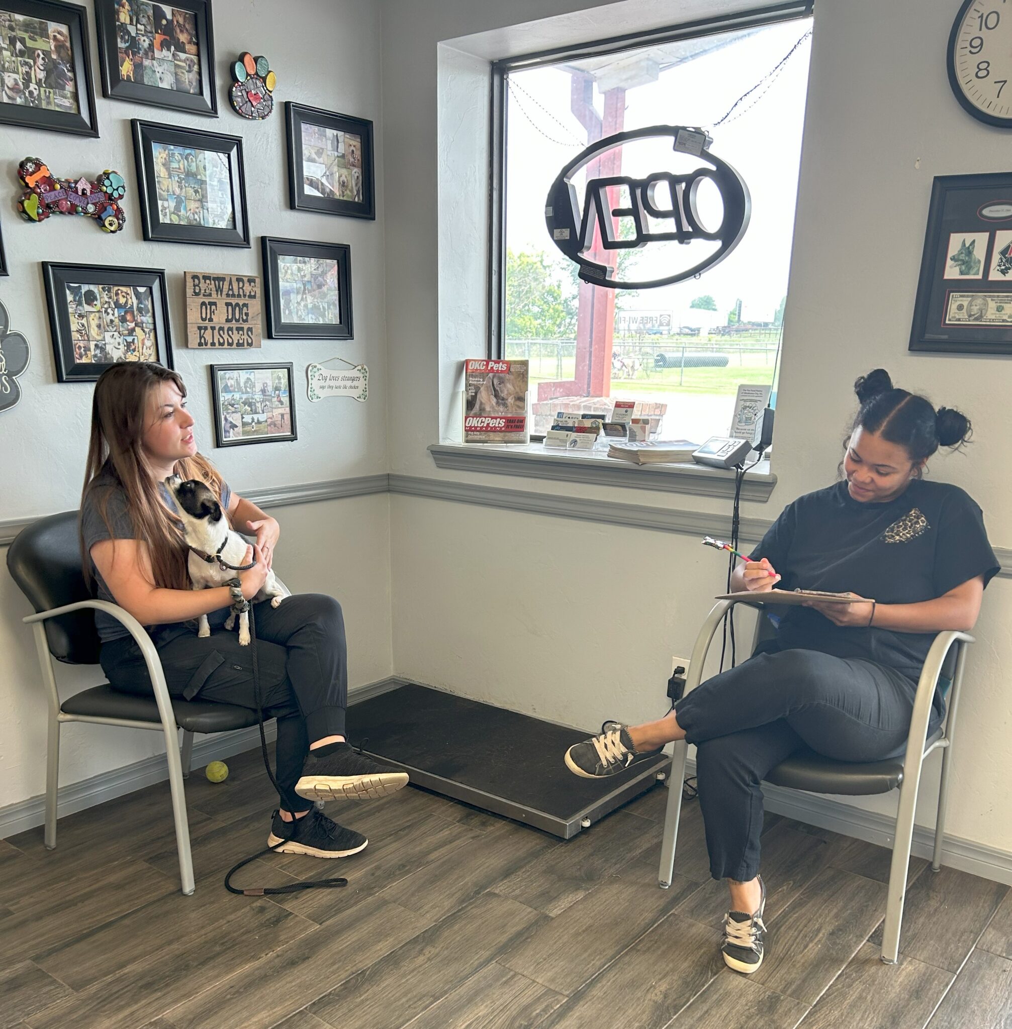 Oklahoma City Dog Boarding School | K9 University